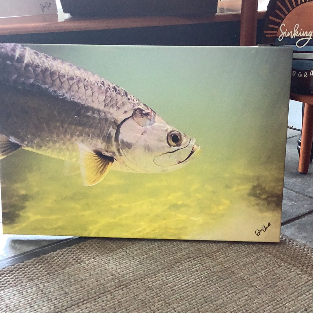 Jess Connell - Tarpon – Lost Boy Creations